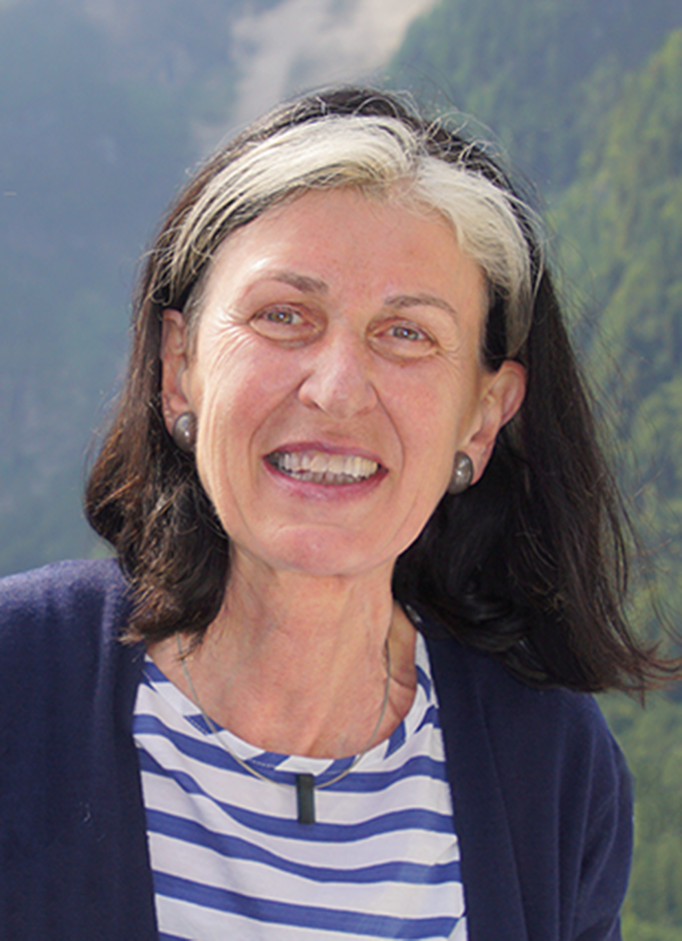 Beisetzungen und Bestattungen im Raum Steinhaus | Trauerfälle